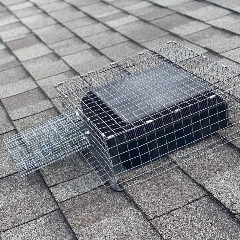 Rodent Proof - Attic Services & Insulation Contractors San Francisco ...